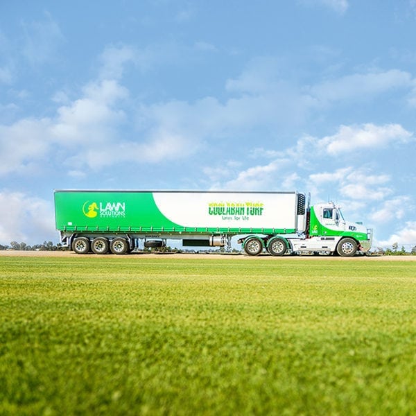 Instant Turf Suppliers & Growers Victoria | Coolabah Turf