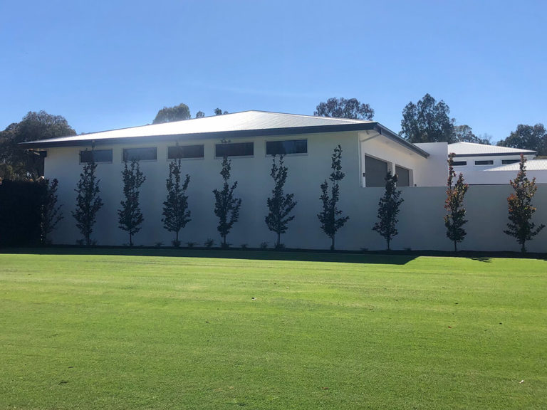 Instant Turf Melbourne | Premium Turf Supply | Coolabah Turf