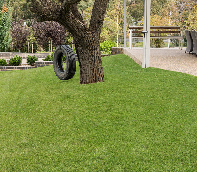 TifTuf Bermuda Grass | Melbourne & Geelong