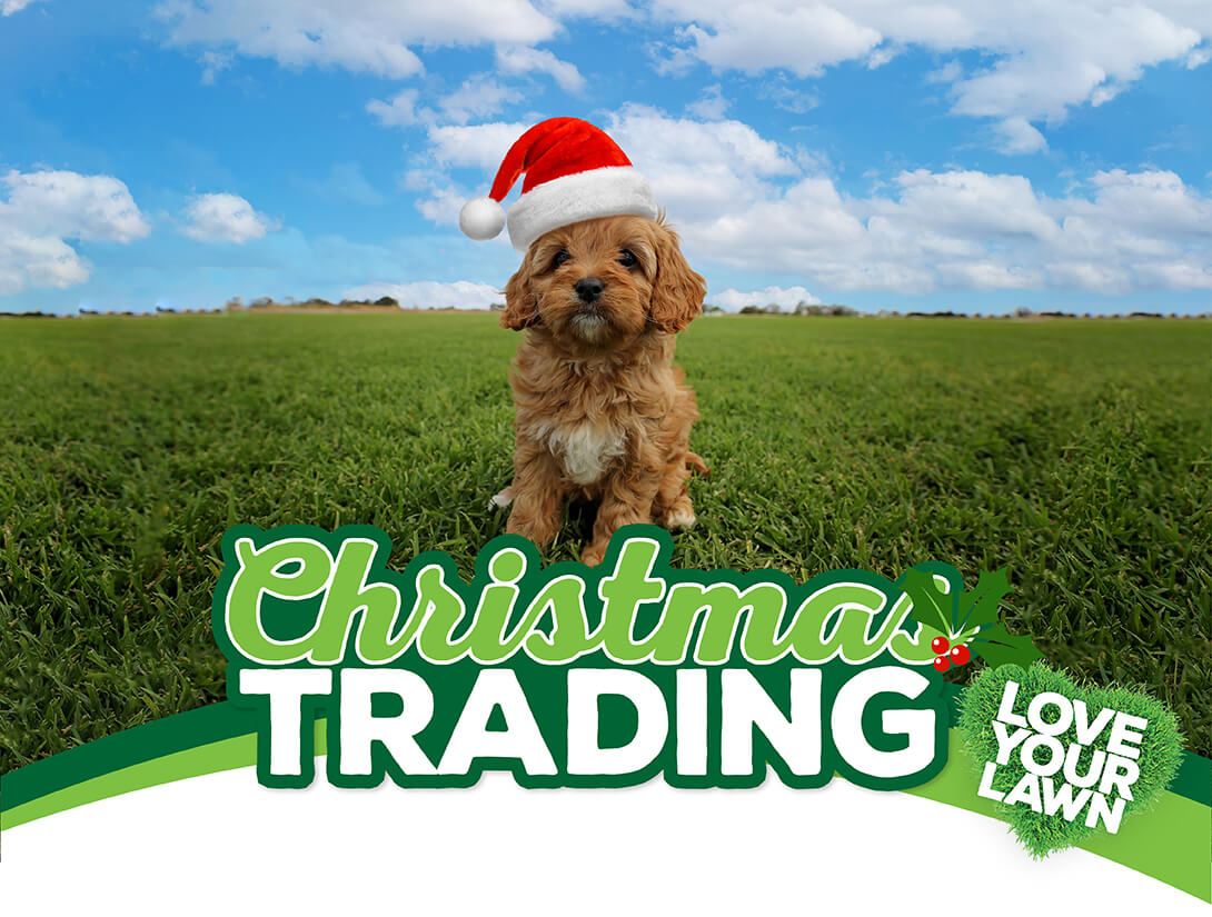 Instant Turf Suppliers & Lawn Specialists | Coolabah Turf
